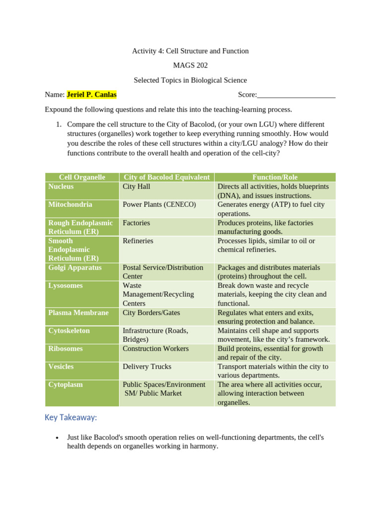 Cell Structure Analogy and Learning Methods | PDF | Endoplasmic ...