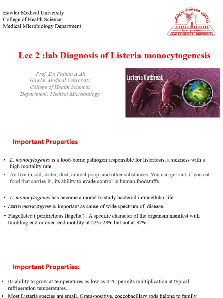 Lab Diagnosis of Listeria monocytogenes | PDF | Microbiology | Immunology