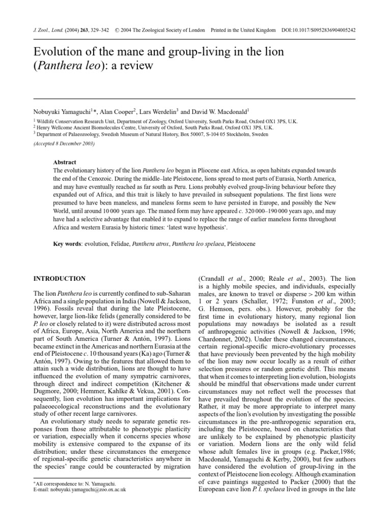 Evolution of The Mane and Group Living I | PDF | Felidae | Lion
