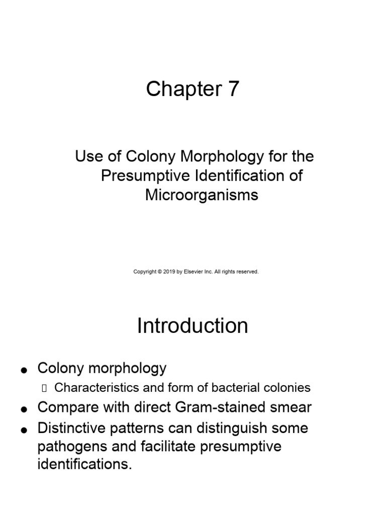 Chapter 7 Colony Morphology and Presumptive Identification | PDF ...