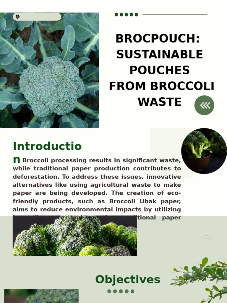 Brocpouch Sustainable Pouches From Broccoli Waste | PDF