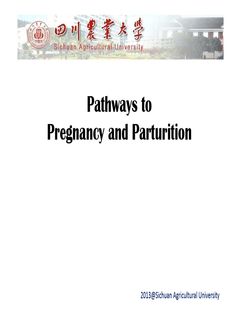 Chapter 14 The Puerperium And Lactation Pdf Lactation Uterus
