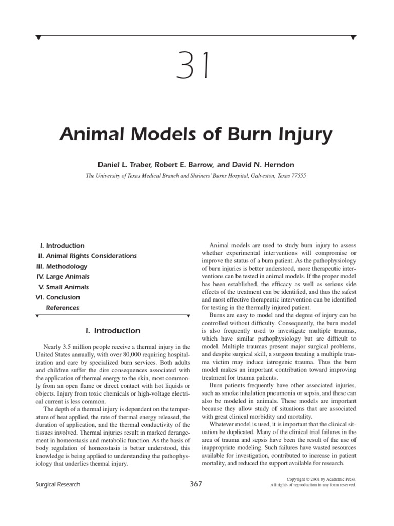 31 Animal Models of Burn Injury 2001 Surgical Research | PDF ...