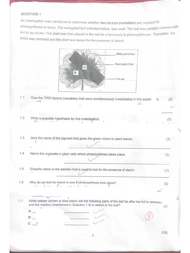 Bio April Test Blank | PDF