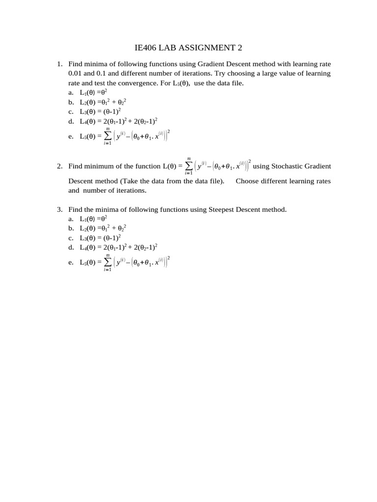 IE406 Lab Assignment 2 Problem Statement | PDF