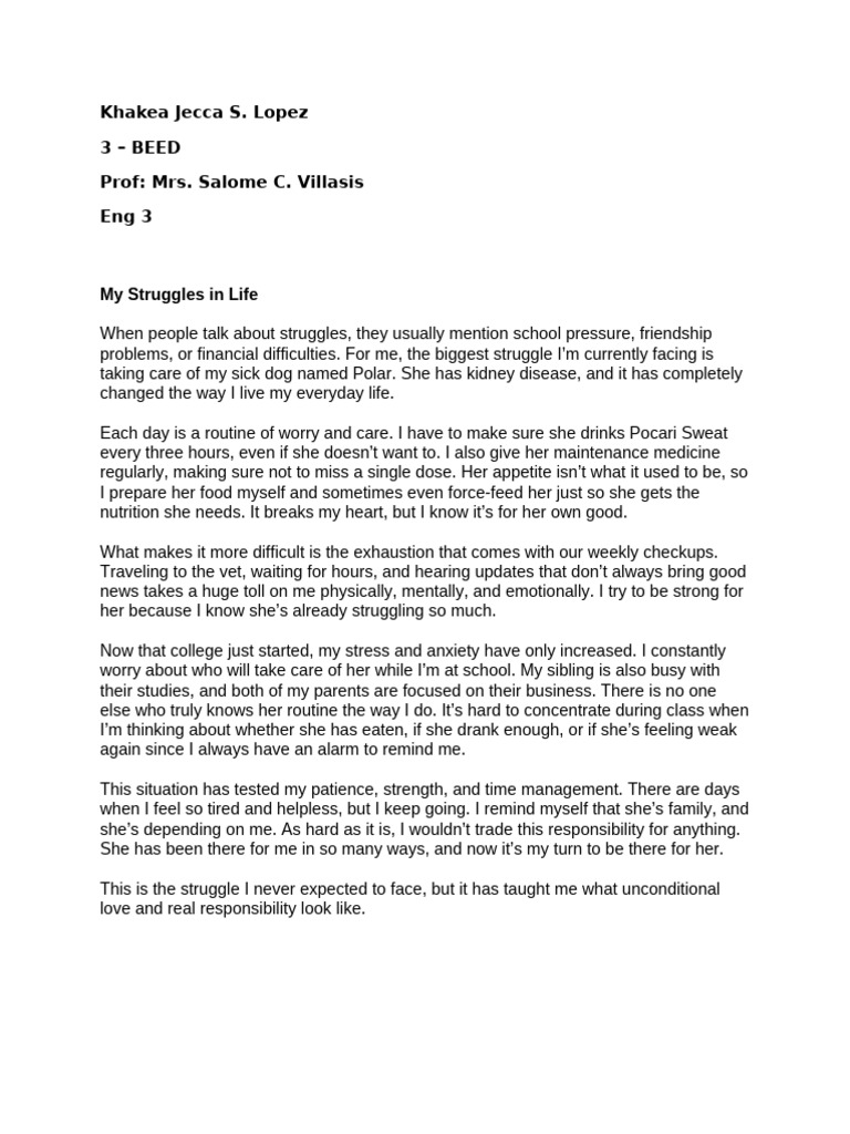 Eng 3 Struggles Essay Elementary Education | PDF