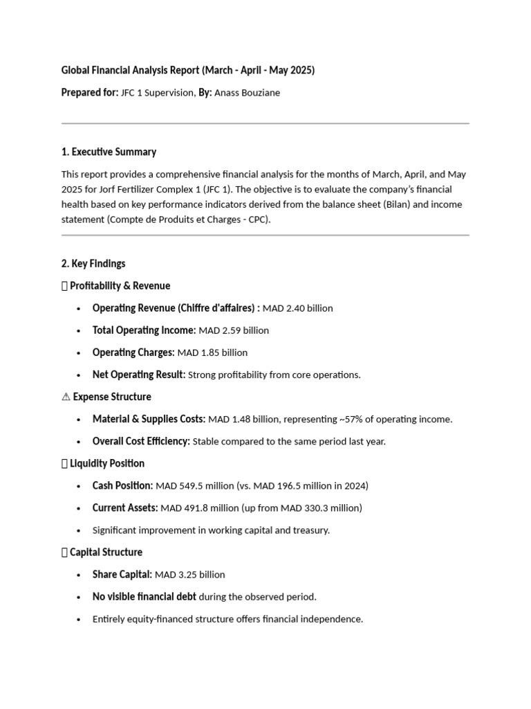 JFC 1 Financial Analysis Q2 2025 Report | PDF
