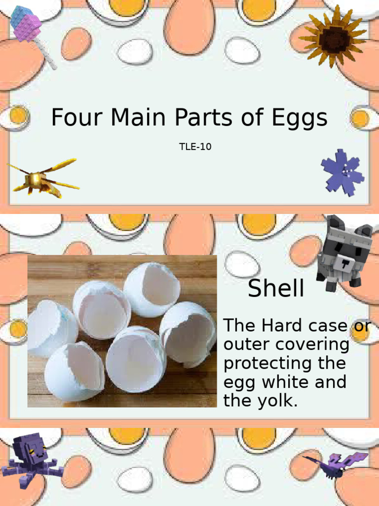 Four Main Parts of Eggs | PDF