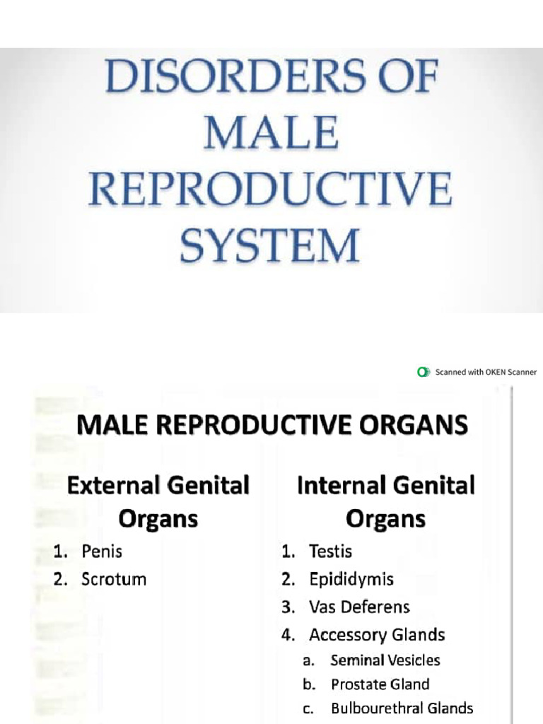 Anatomy and Physiology of Male Reproductive System. | PDF