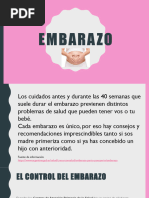 Carpeta Control Prenatal | PDF