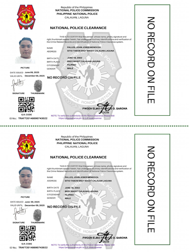 Police Clearance | PDF