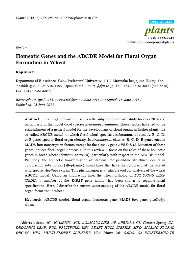 Homeotic Genes and the ABCDE Model | PDF | Flowers | Genetics