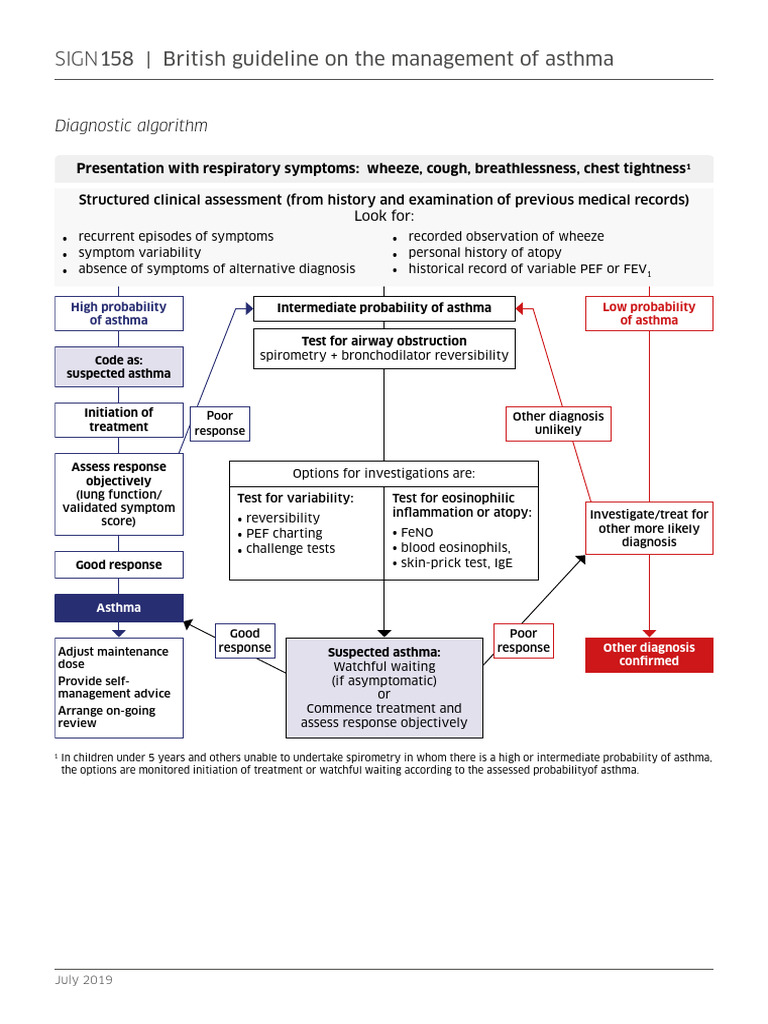 Asthma - Diagnostic Algorithm | PDF | Asthma | Medical Specialties