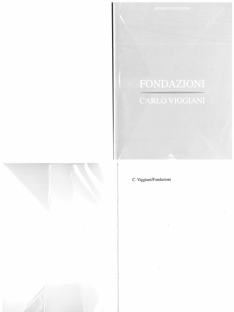 Fondazioni Viggiani | PDF