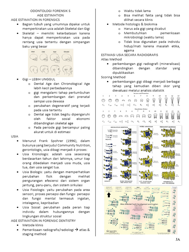 Estimasi Usia dalam Odontologi Forensik | PDF