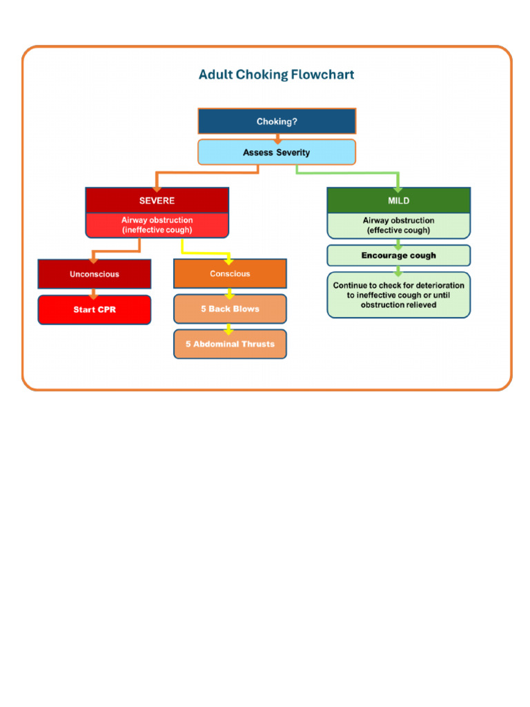 Adult Choking Flowchart | PDF