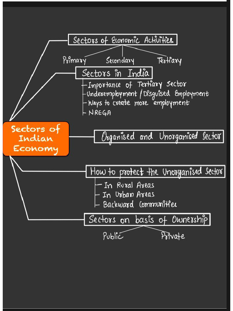 Class 10 ch-2 Notes Economics (Handwritten) | PDF