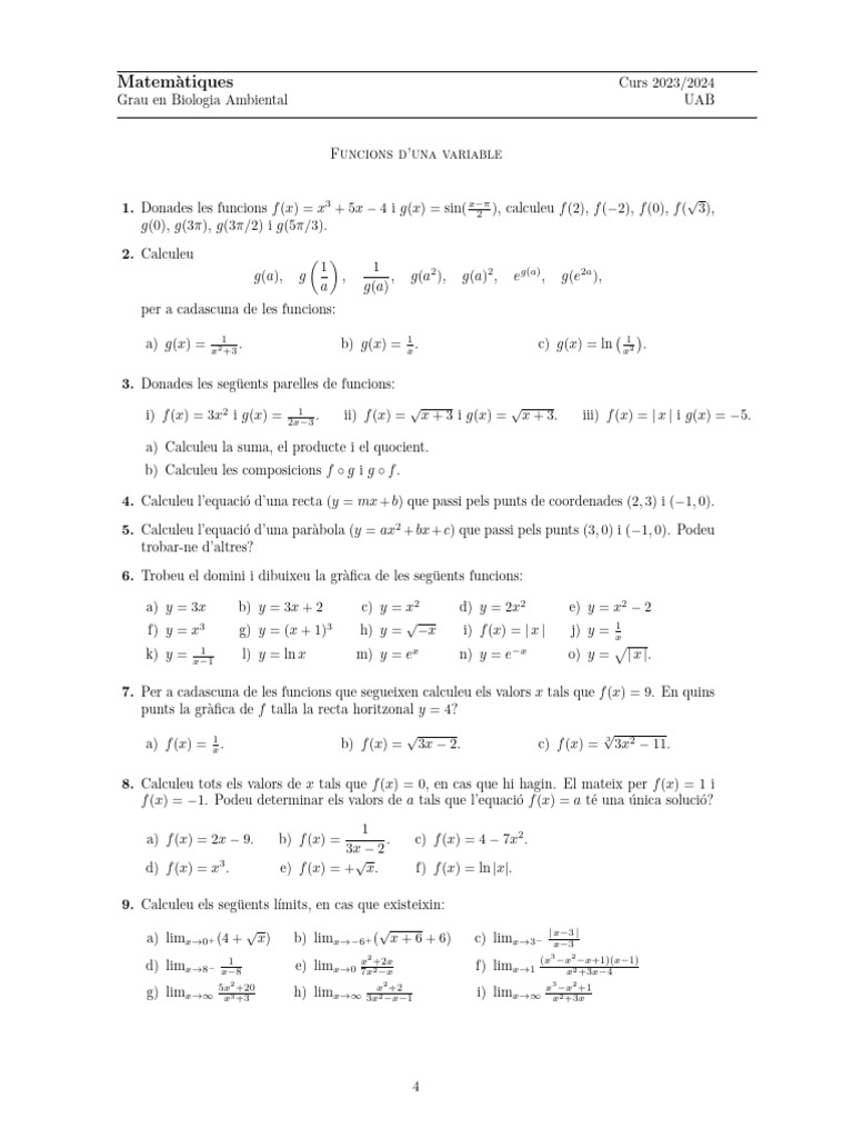 Funcions Problemes | PDF