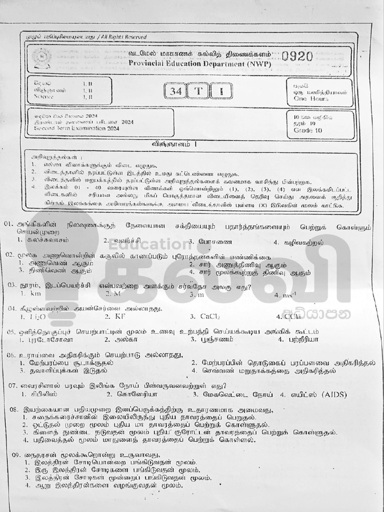 gr10 Ta Science 2024 Term - 2 | PDF