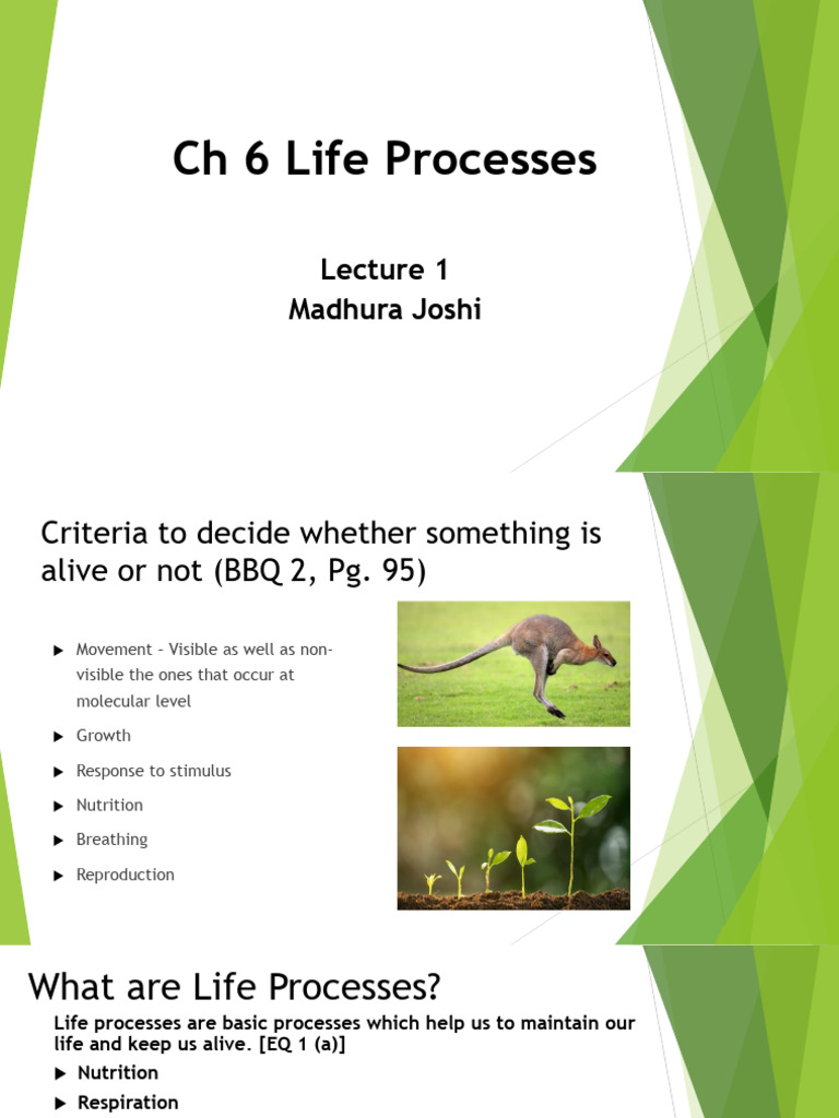 Bio CH 5 Lect 1 | PDF | Nutrition | Diet & Nutrition