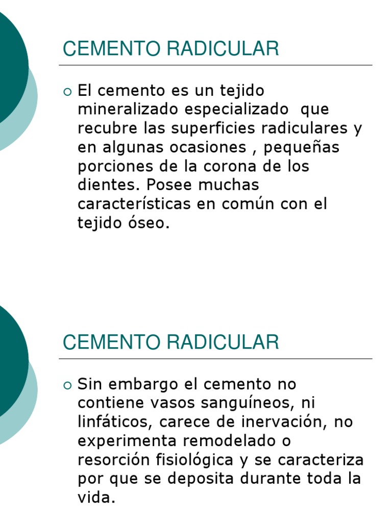 CEMENTO RADICULAR | Diente humano | Hueso