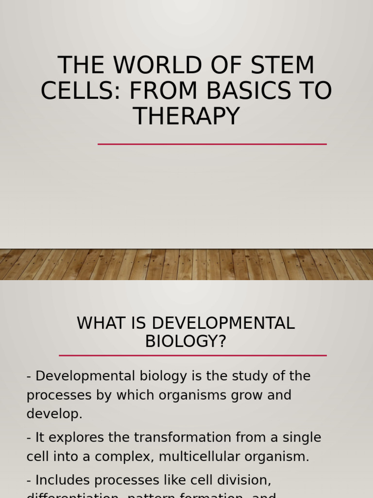 Stem Cell Presentation | PDF | Stem Cell | Embryonic Stem Cell