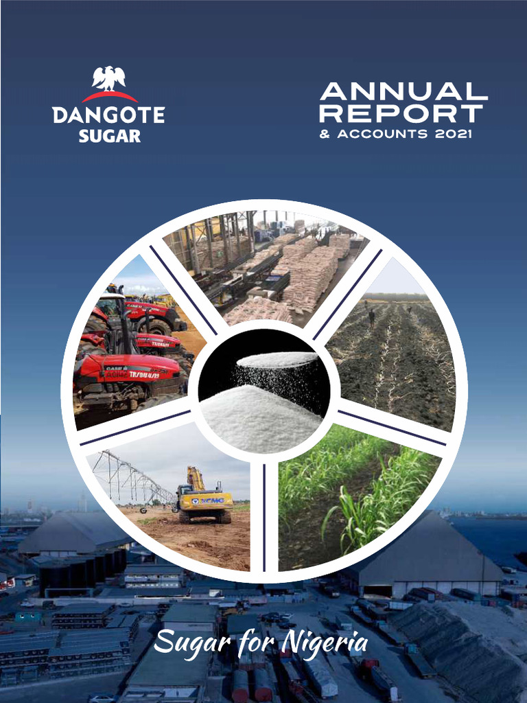 2021 DSR Annual Report Final | PDF | Dividend | Corporate Governance