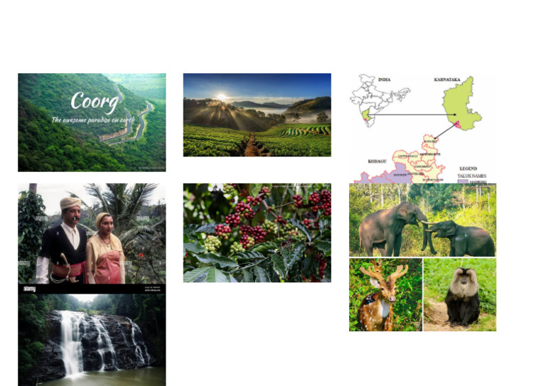 Coorg Brochure | PDF