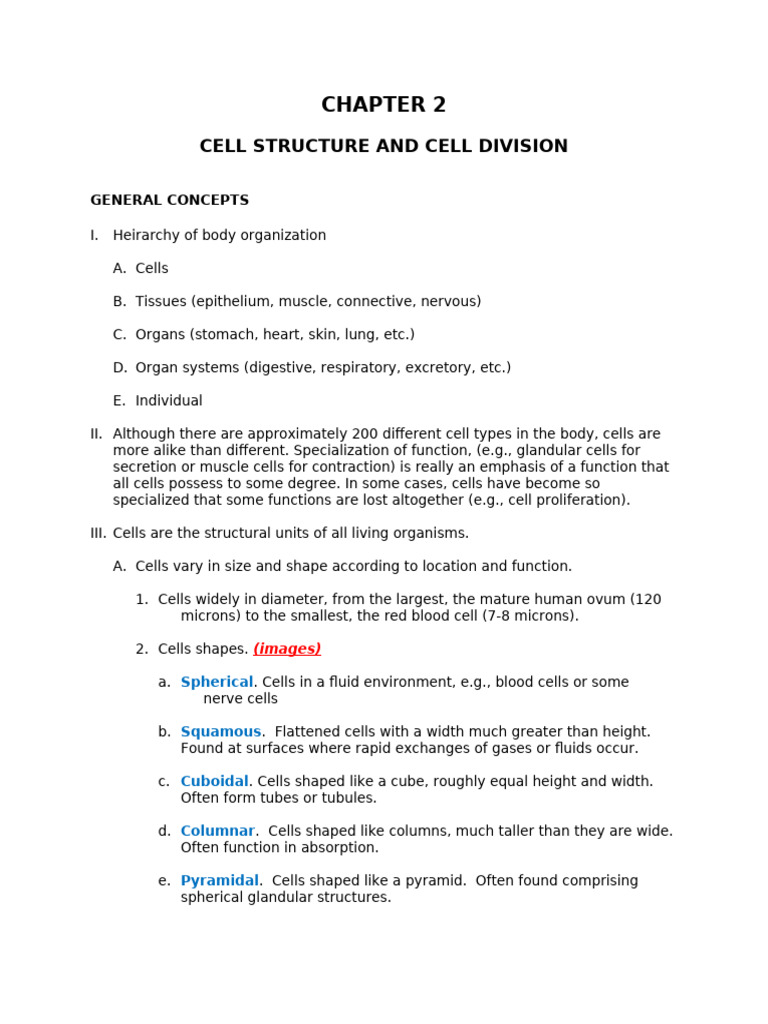 Cell Structure and Division Overview | PDF | Mitosis | Meiosis