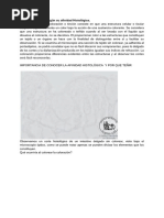Colorantes Ácidos y Básicos en Histología | PDF | Técnicas de ...