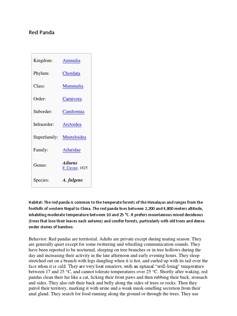 Red Panda | PDF | Nature