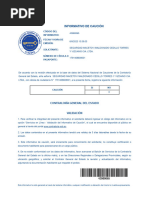 Emisión Informativo de Caución | PDF