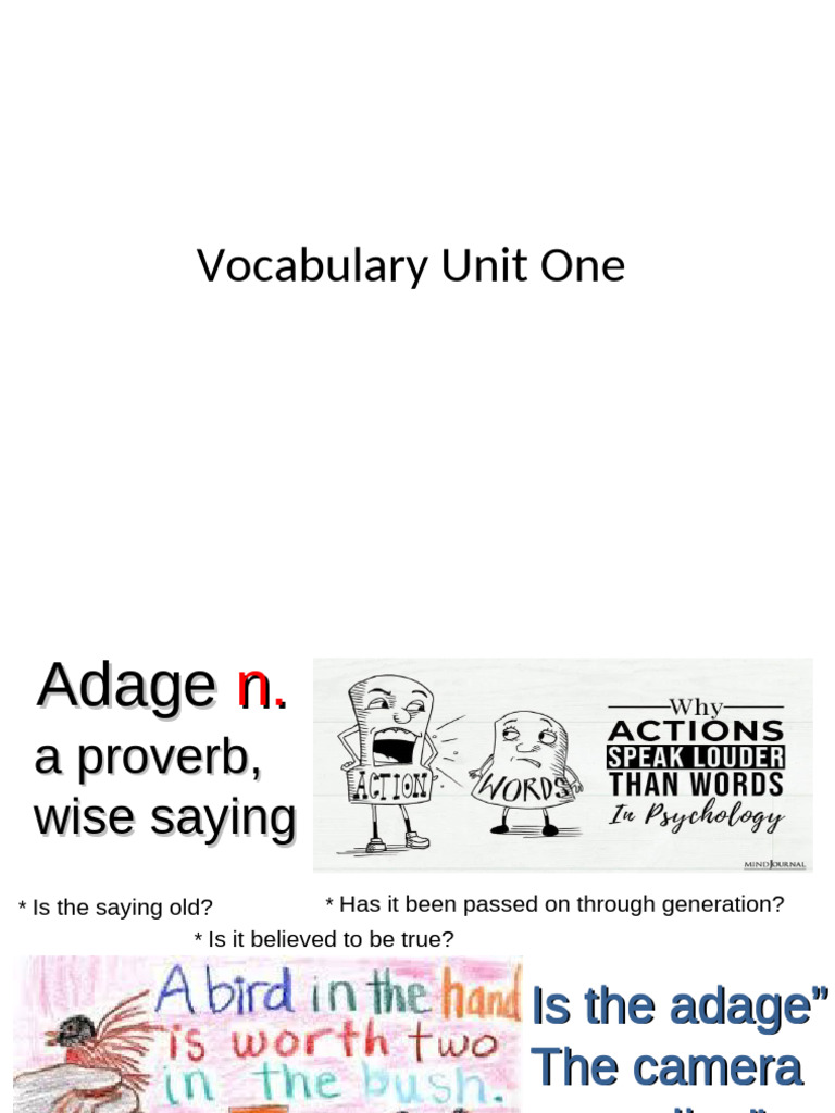 Vocabulary Unit 1: Key Terms Explained | PDF | Proverb