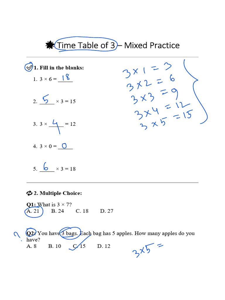 Error Detection in Multiplication Practice | PDF