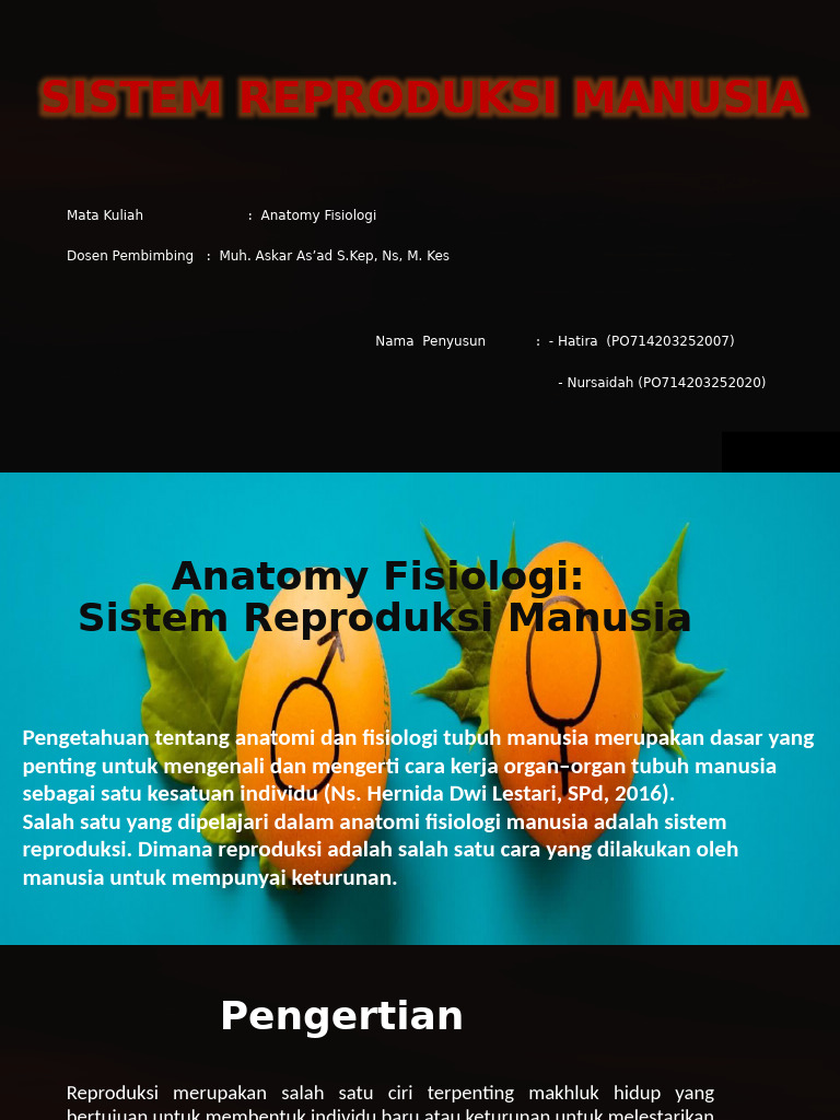 Sistem Reproduksi Manusia Memahami Organ Dan Fungsinya | PDF
