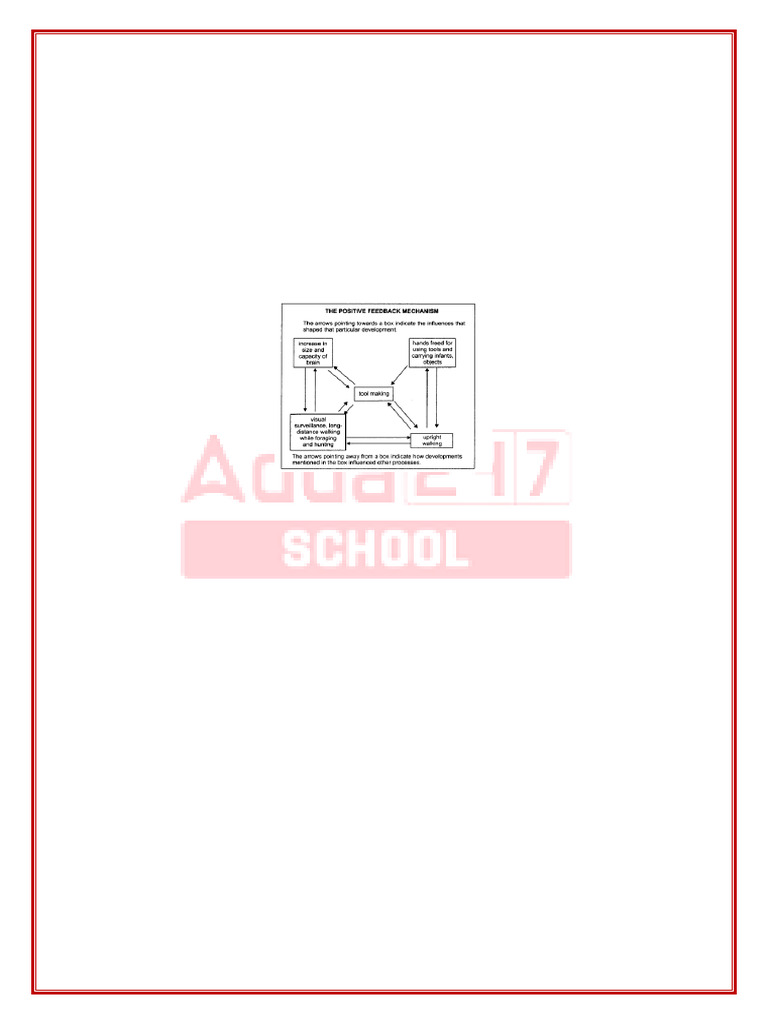 NCERT Solutions For Class 11 History Chapter 1 Early Societies | PDF ...