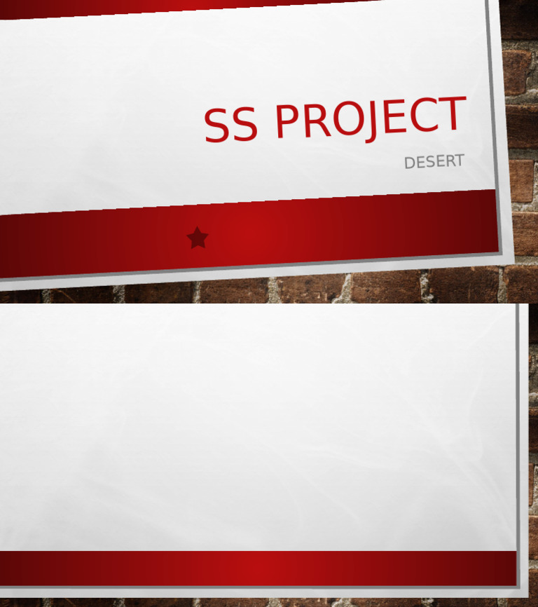 Ss Projects | PDF