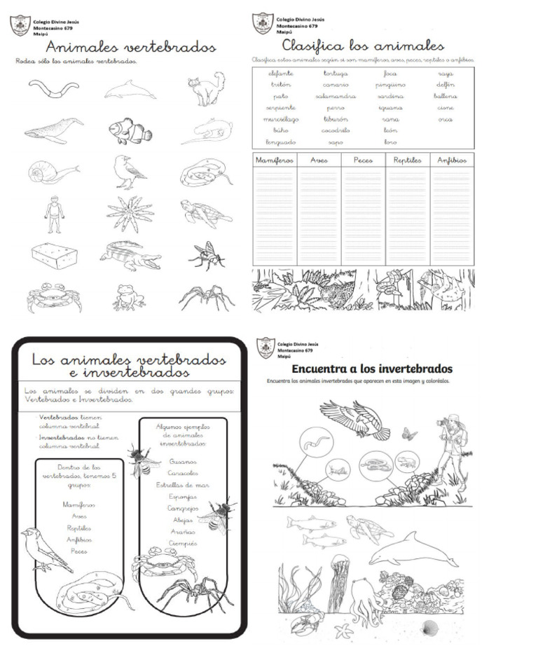 Animales Vertebrados e Invertebrados 2° | PDF