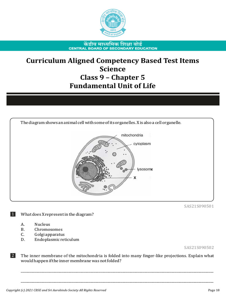 Class 9 Science: Competency Questions | PDF | Cell (Biology) | Cell ...