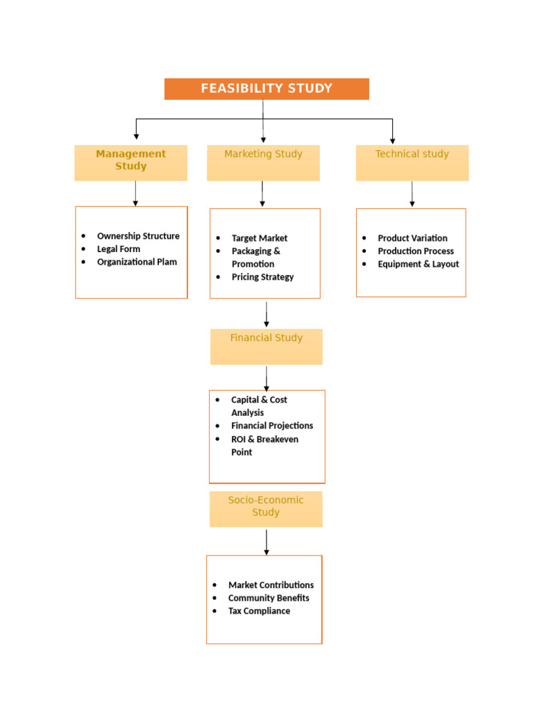 Feasibility Study Framework | PDF