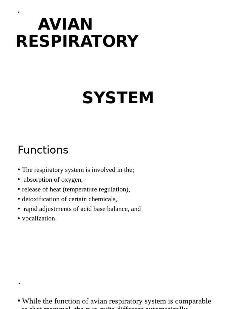 Avian Respiratory System Overview | PDF | Larynx | Vertebra