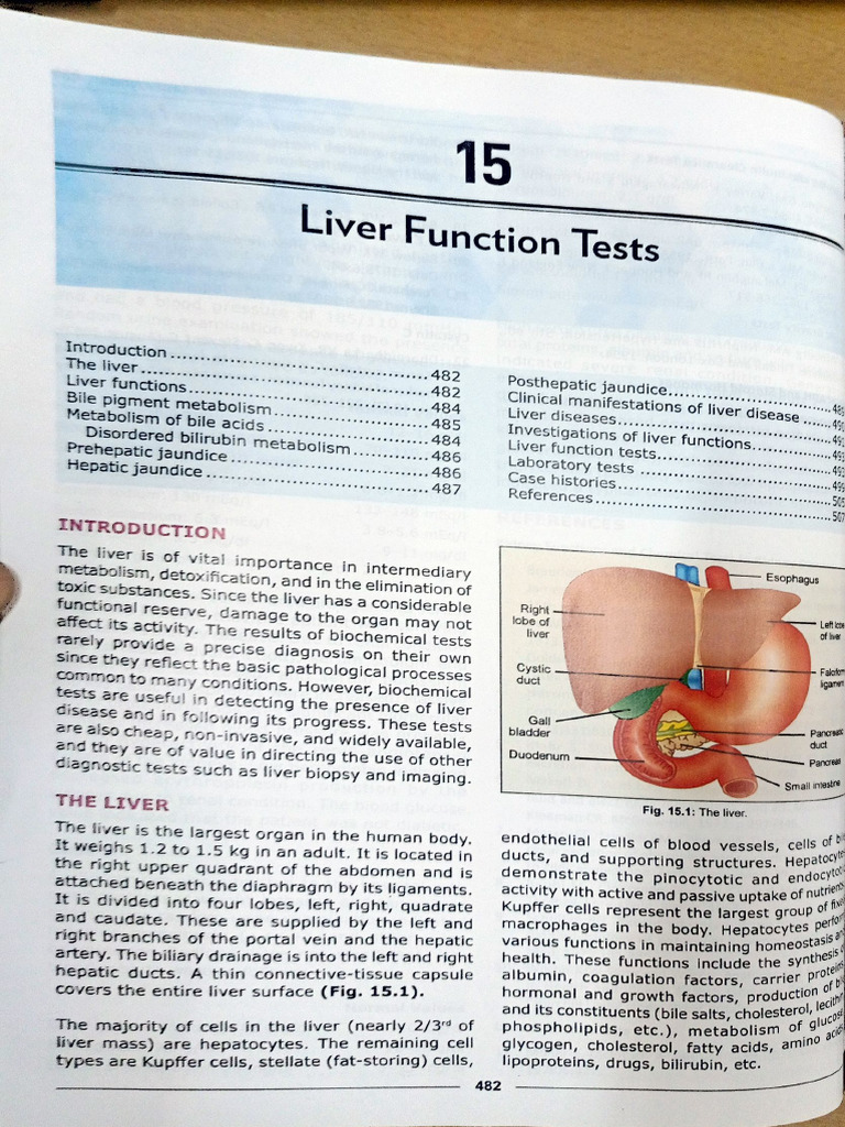 Liver Function Test by Harsh Kumar Chauhan | PDF