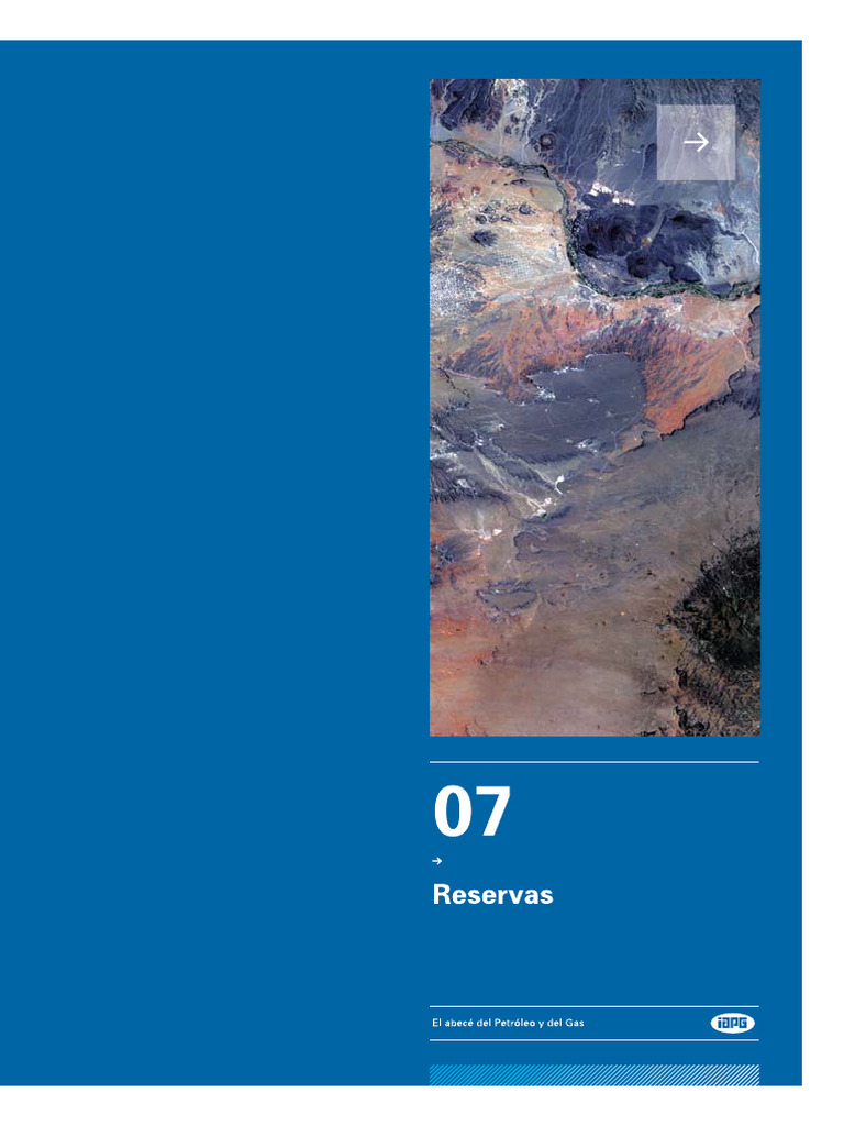 10 Capitulo 7 Reservas | PDF | Petróleo | Gases