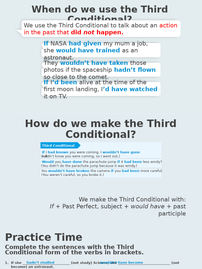 Third Conditional | PDF