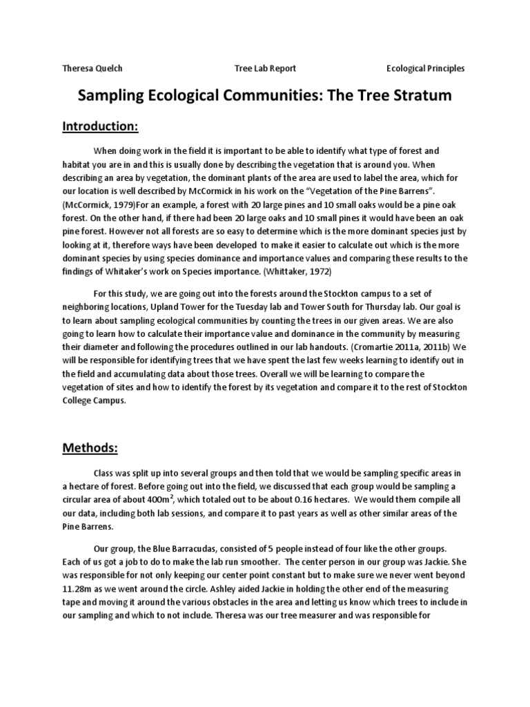Quelch Tree Lab Report | PDF | Oak | Pine