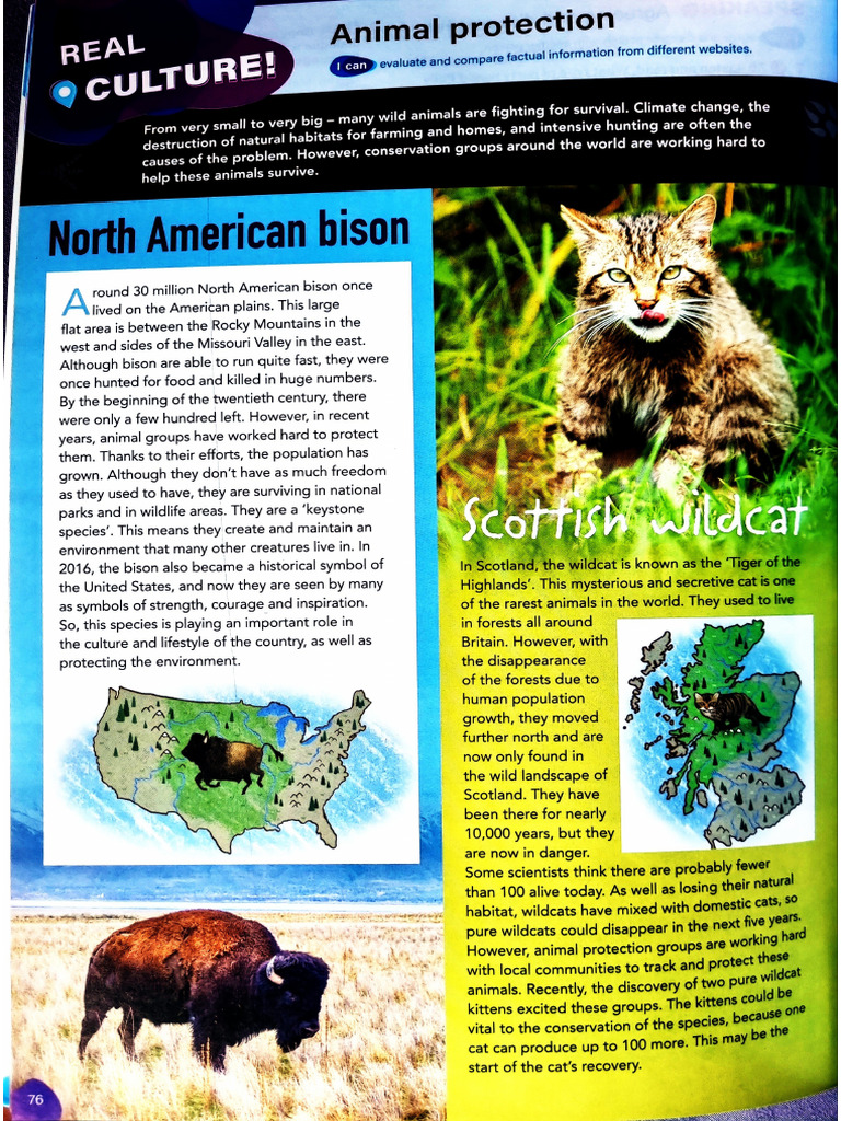 Actividad Google Classroom | PDF