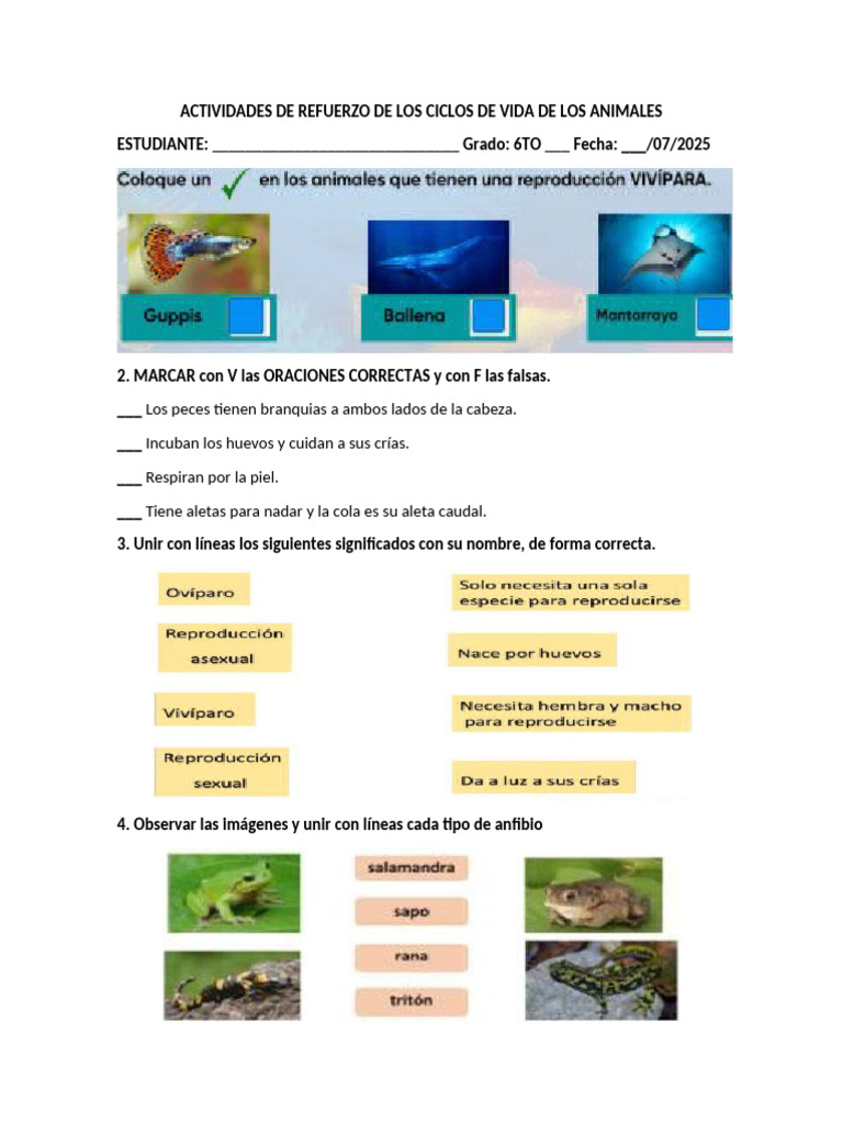 6to. Actividades de Refuerzo de Los Ciclos de Vida de Los Animales | PDF