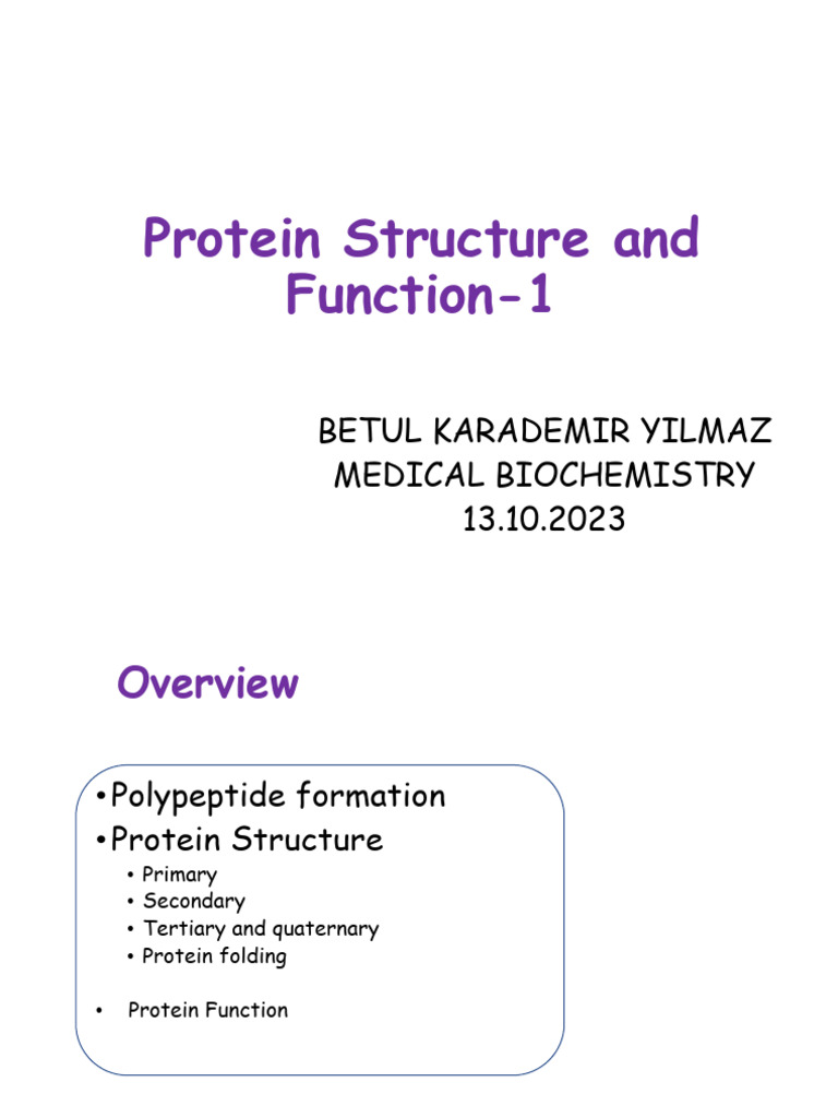 Protein Structure and Function2-131023 - Betul Yilmaz | PDF | Beta ...