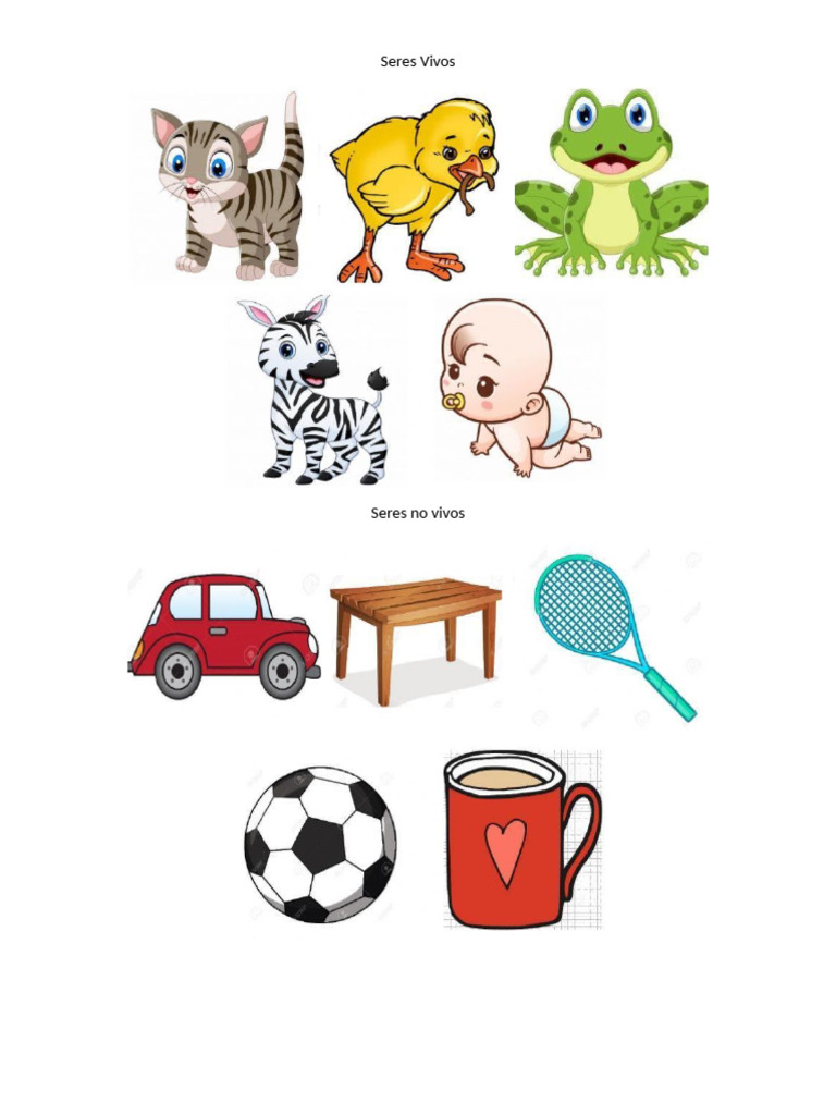 (Img) Seres Vivos y No Vivos | PDF