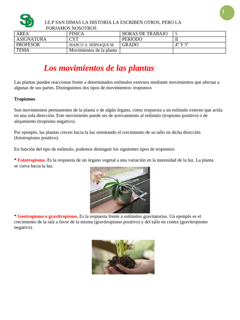 Tropismos en las plantas: tipos y ejemplos | PDF | Ramas de la botánica ...